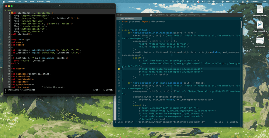 Professional Vim Configuration: Terminal and GUI Setup for Modern ...